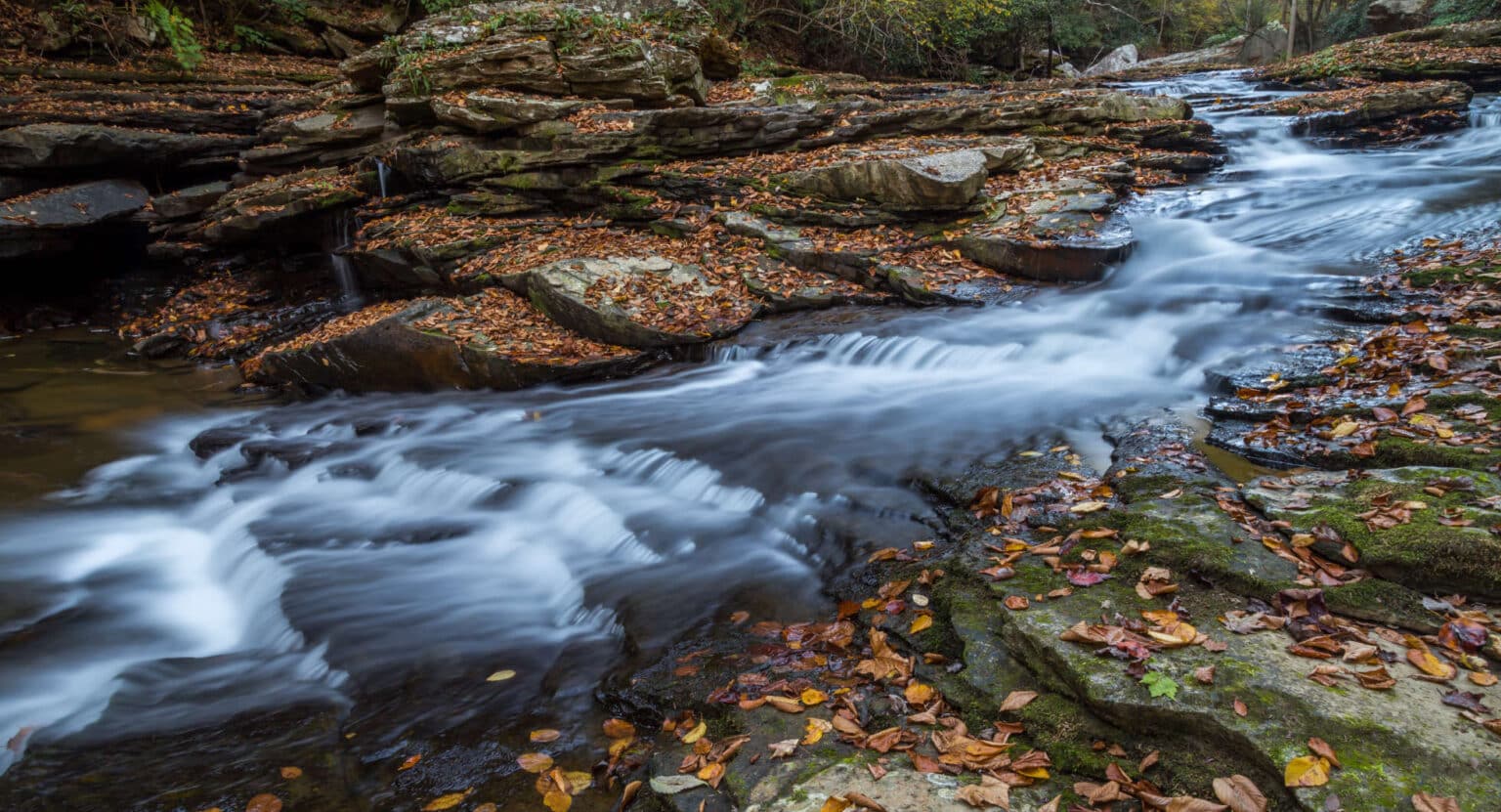Fourth-Grade Virtual Stream Study – Stream-to-Screen Learning